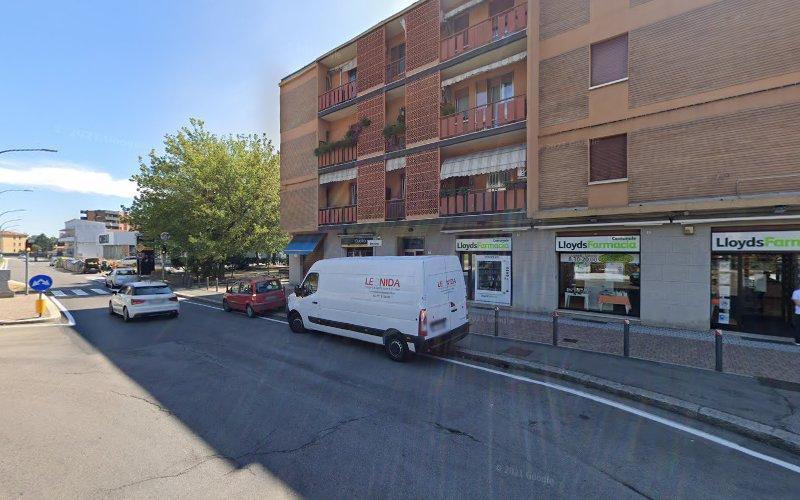 Catalano Angelo - Bologna - Sartist